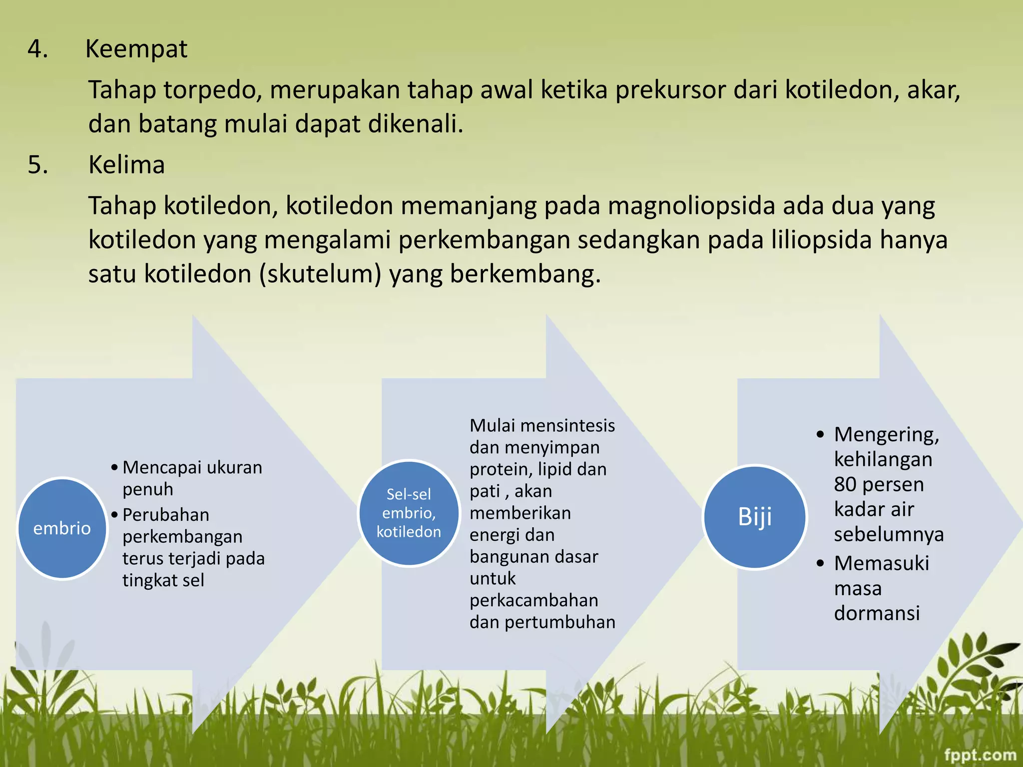 PPT Embriologi Tumbuhan - Perkembangan Embrio dan Biji | PPTX