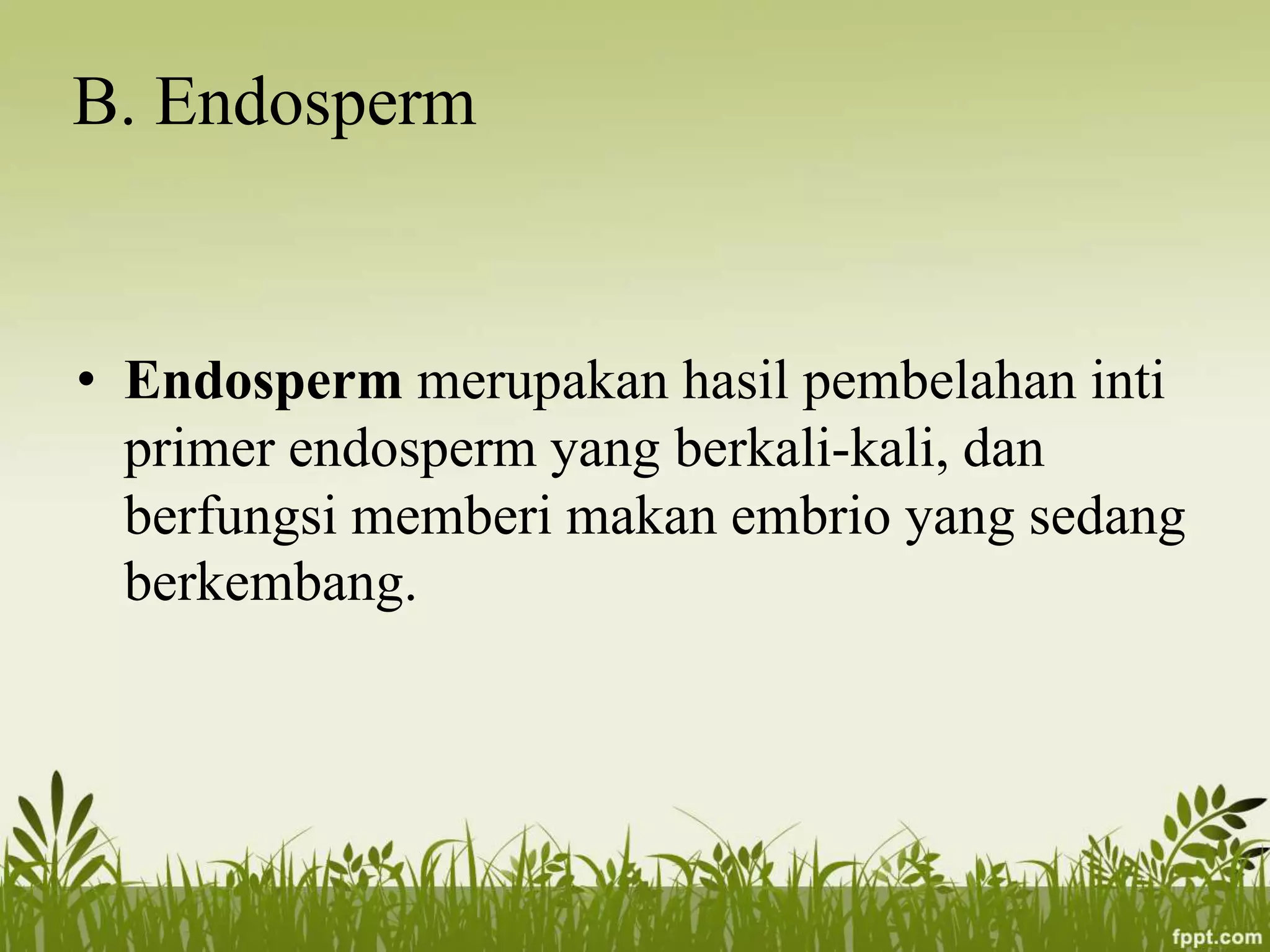 PPT Embriologi Tumbuhan - Perkembangan Embrio dan Biji | PPTX