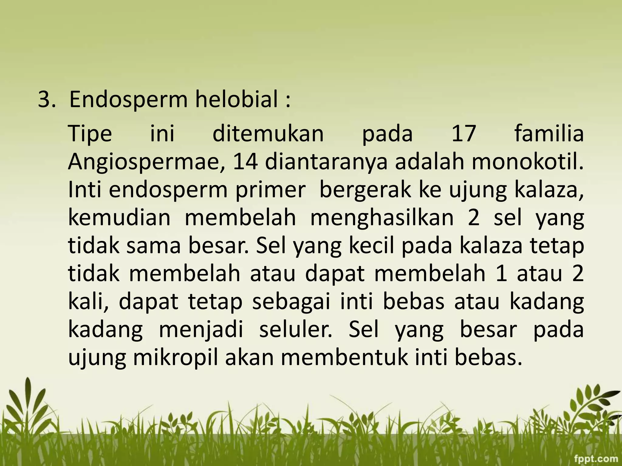 PPT Embriologi Tumbuhan - Perkembangan Embrio dan Biji | PPTX