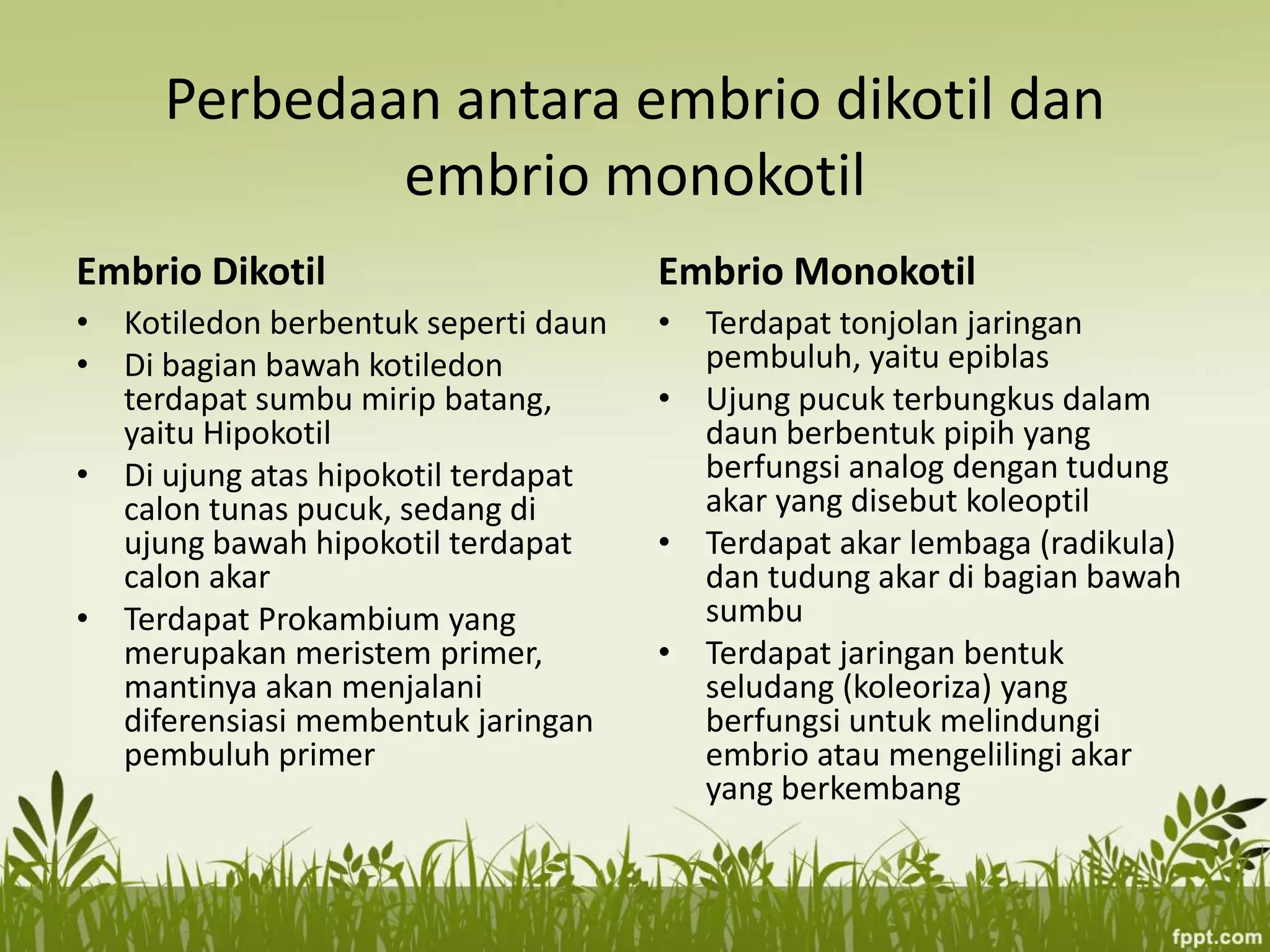 PPT Embriologi Tumbuhan - Perkembangan Embrio dan Biji | PPTX