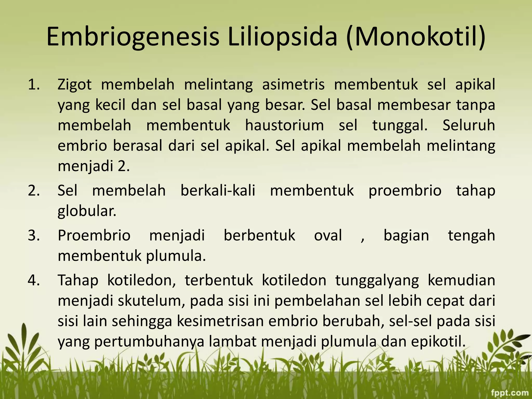 PPT Embriologi Tumbuhan - Perkembangan Embrio dan Biji | PPTX