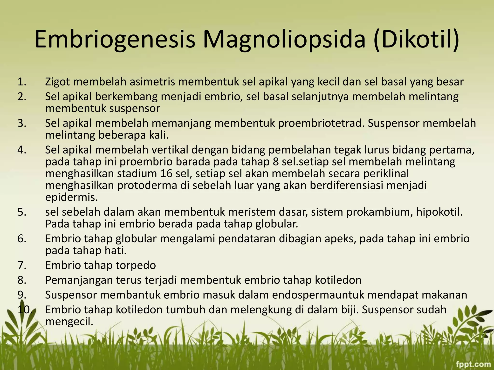 PPT Embriologi Tumbuhan - Perkembangan Embrio dan Biji | PPTX