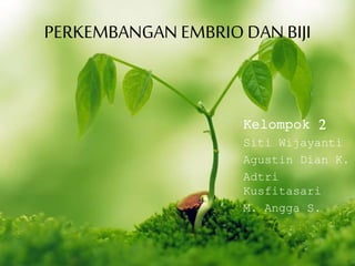 PPT Embriologi Tumbuhan - Perkembangan Embrio dan Biji | PPTX