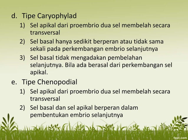 PPT Embriologi Tumbuhan - Perkembangan Embrio dan Biji | PPTX