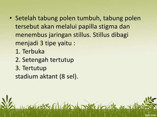 PPT Embriologi Tumbuhan - Perkembangan Embrio dan Biji | PPTX