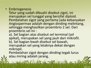 PPT Embriologi Tumbuhan - Perkembangan Embrio dan Biji | PPTX