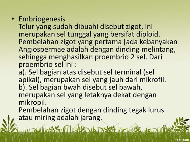 PPT Embriologi Tumbuhan - Perkembangan Embrio dan Biji | PPTX