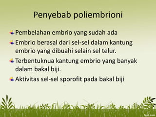 PPT Embriologi Tumbuhan - Perkembangan Embrio dan Biji | PPTX