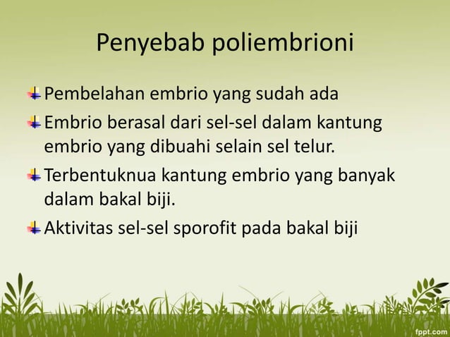 PPT Embriologi Tumbuhan - Perkembangan Embrio dan Biji | PPTX