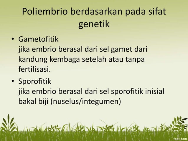 PPT Embriologi Tumbuhan - Perkembangan Embrio dan Biji | PPTX