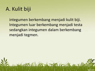 PPT Embriologi Tumbuhan - Perkembangan Embrio dan Biji | PPTX