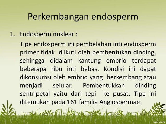 PPT Embriologi Tumbuhan - Perkembangan Embrio dan Biji | PPTX