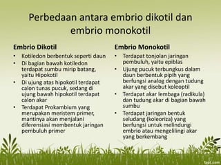 PPT Embriologi Tumbuhan - Perkembangan Embrio dan Biji | PPTX