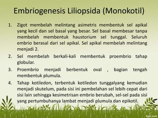 PPT Embriologi Tumbuhan - Perkembangan Embrio dan Biji | PPTX
