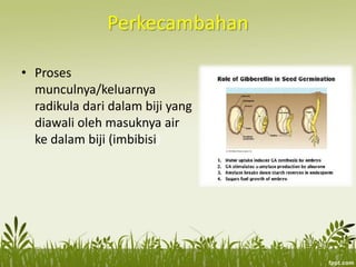 PPT Embriologi Tumbuhan - Perkembangan Embrio dan Biji | PPTX