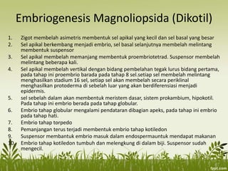 PPT Embriologi Tumbuhan - Perkembangan Embrio dan Biji | PPTX