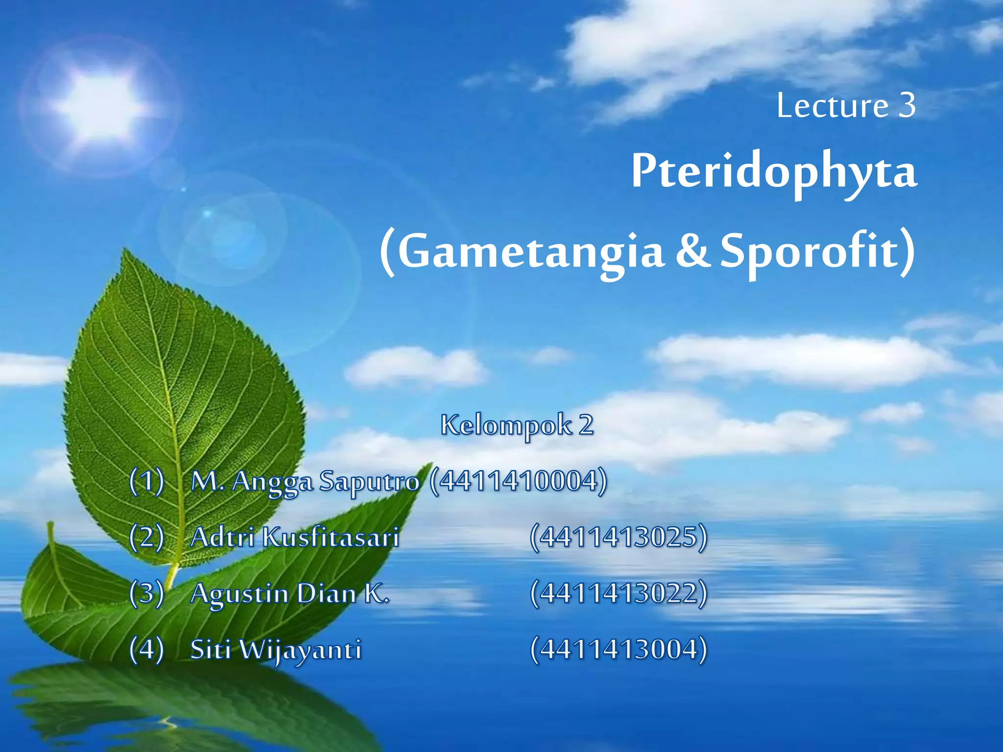 PPT Embriologi Tumbuhan - Pteridophyta | PPTX