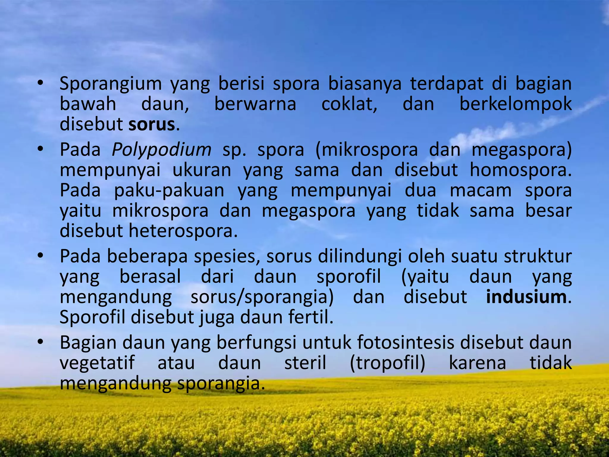 PPT Embriologi Tumbuhan - Pteridophyta | PPTX