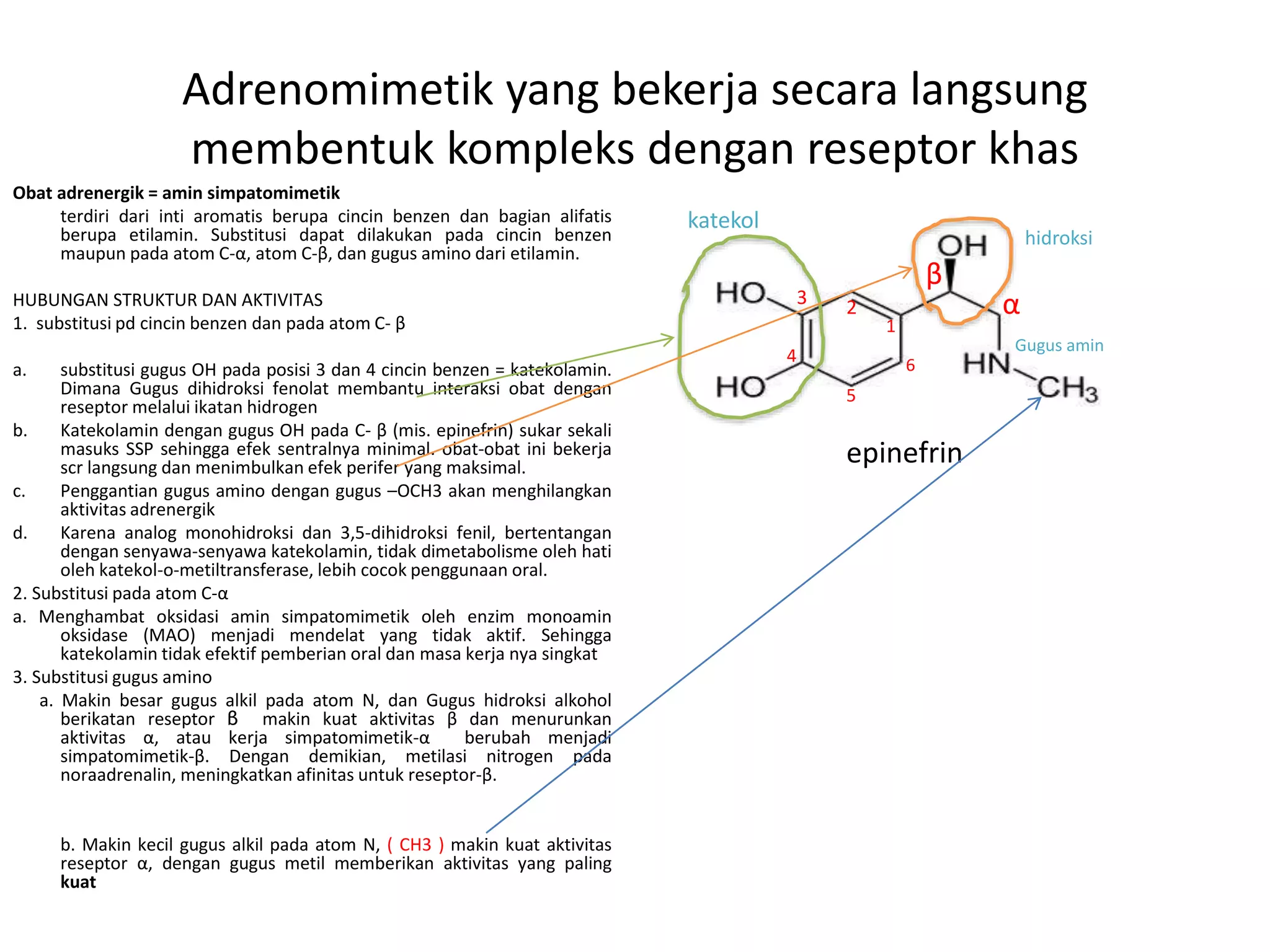 Relationship between structure and drug activity of peripheral nervous ...