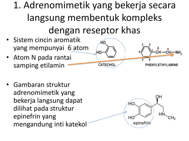 HUBUNGAN STRUKTUR DAN AKTIVITAS OBAT OBAT Periper Nervous Sistem | PPTX