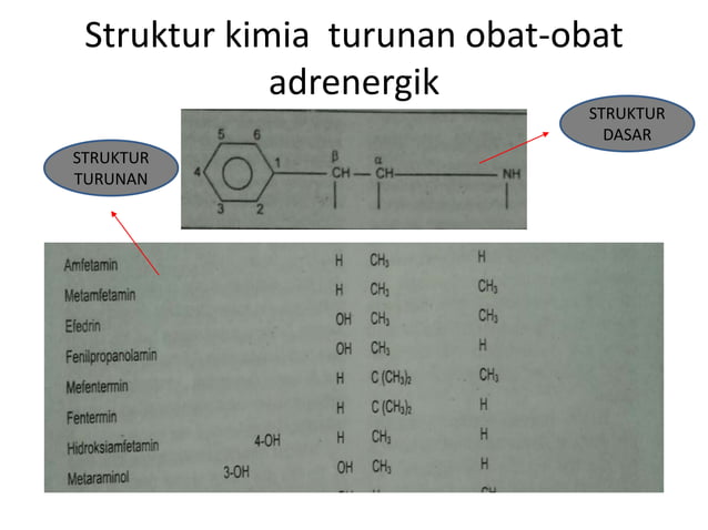 HUBUNGAN STRUKTUR DAN AKTIVITAS OBAT OBAT Periper Nervous Sistem | PPTX