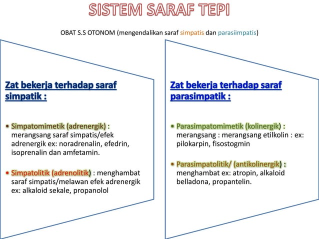 HUBUNGAN STRUKTUR DAN AKTIVITAS OBAT OBAT Periper Nervous Sistem | PPTX