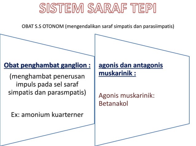 HUBUNGAN STRUKTUR DAN AKTIVITAS OBAT OBAT Periper Nervous Sistem | PPTX
