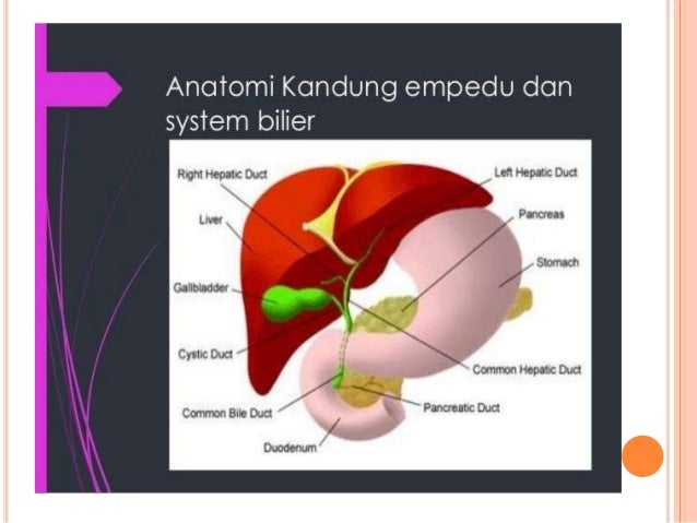 Teknik Radiografi 3 Sistem Biliari