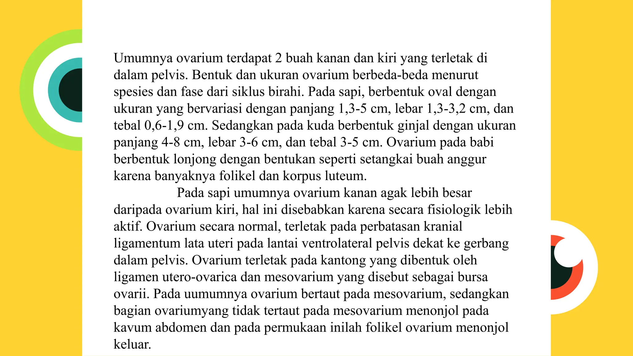 Kelompok 2_Sistem Reproduksi_Anatomi Hewan.pptx