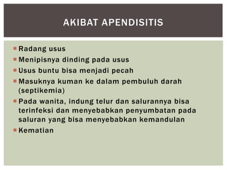 Kelompok 2 usus buntu.pptx