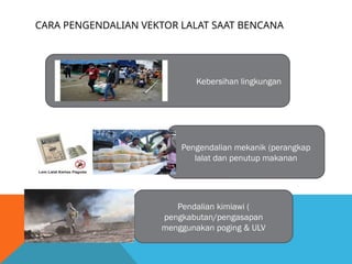 KELOMPOK 2 PENGENDALIAN VEKTOR LALAT.pptx