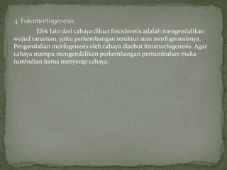 pengaruh cahaya terhadap tumbuhan | PPTX