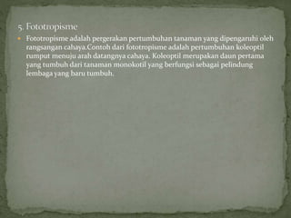 pengaruh cahaya terhadap tumbuhan | PPTX