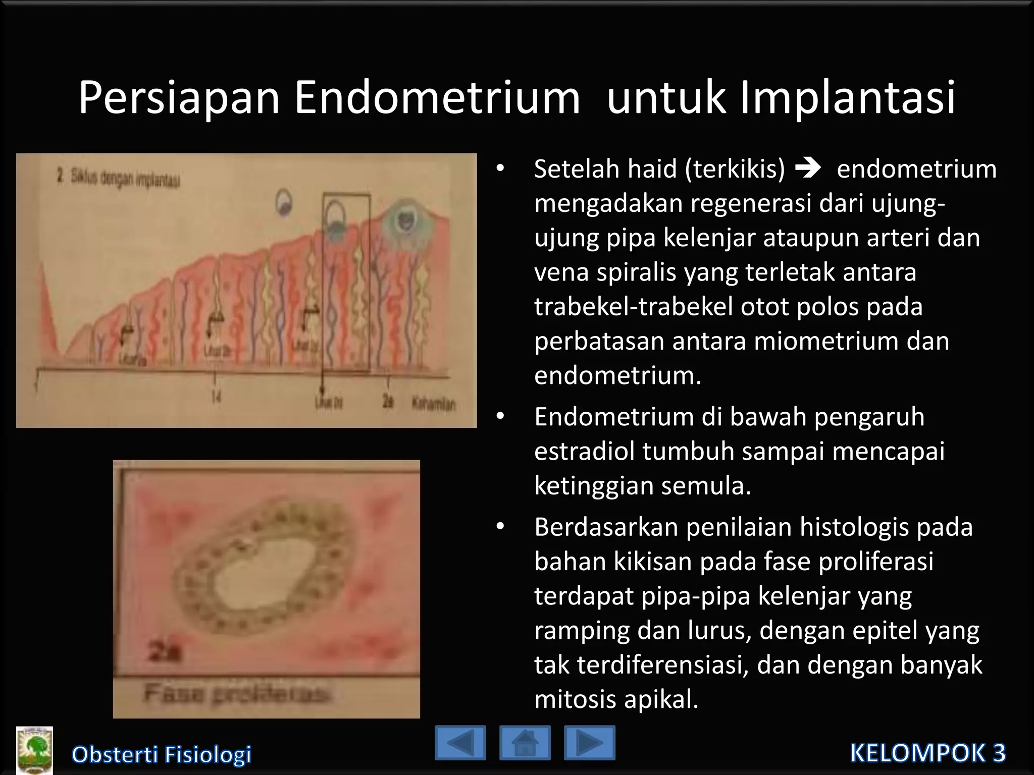 The Endometrium and Decidua: Pregnancy | PPTX