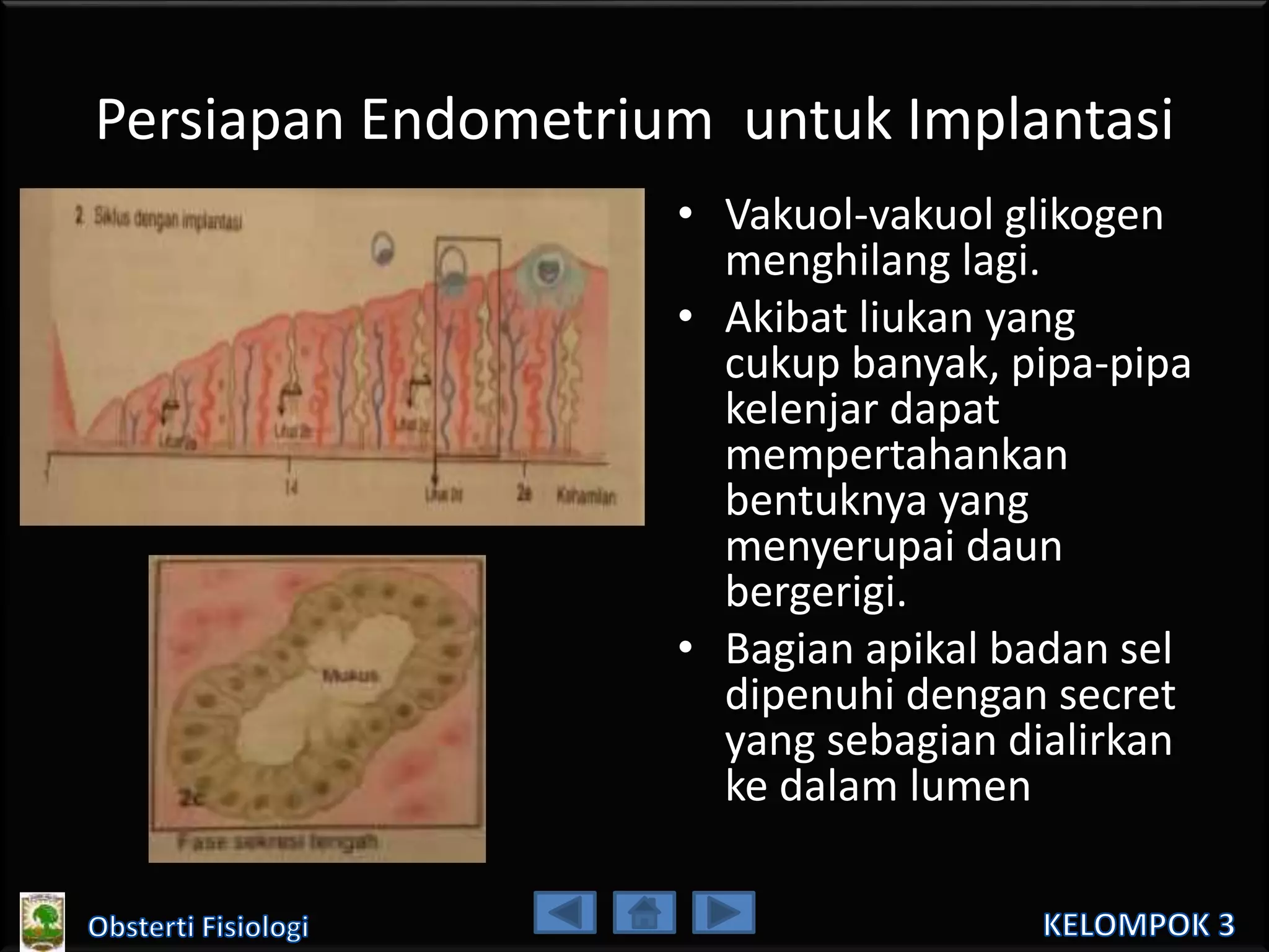 The Endometrium and Decidua: Pregnancy | PPTX