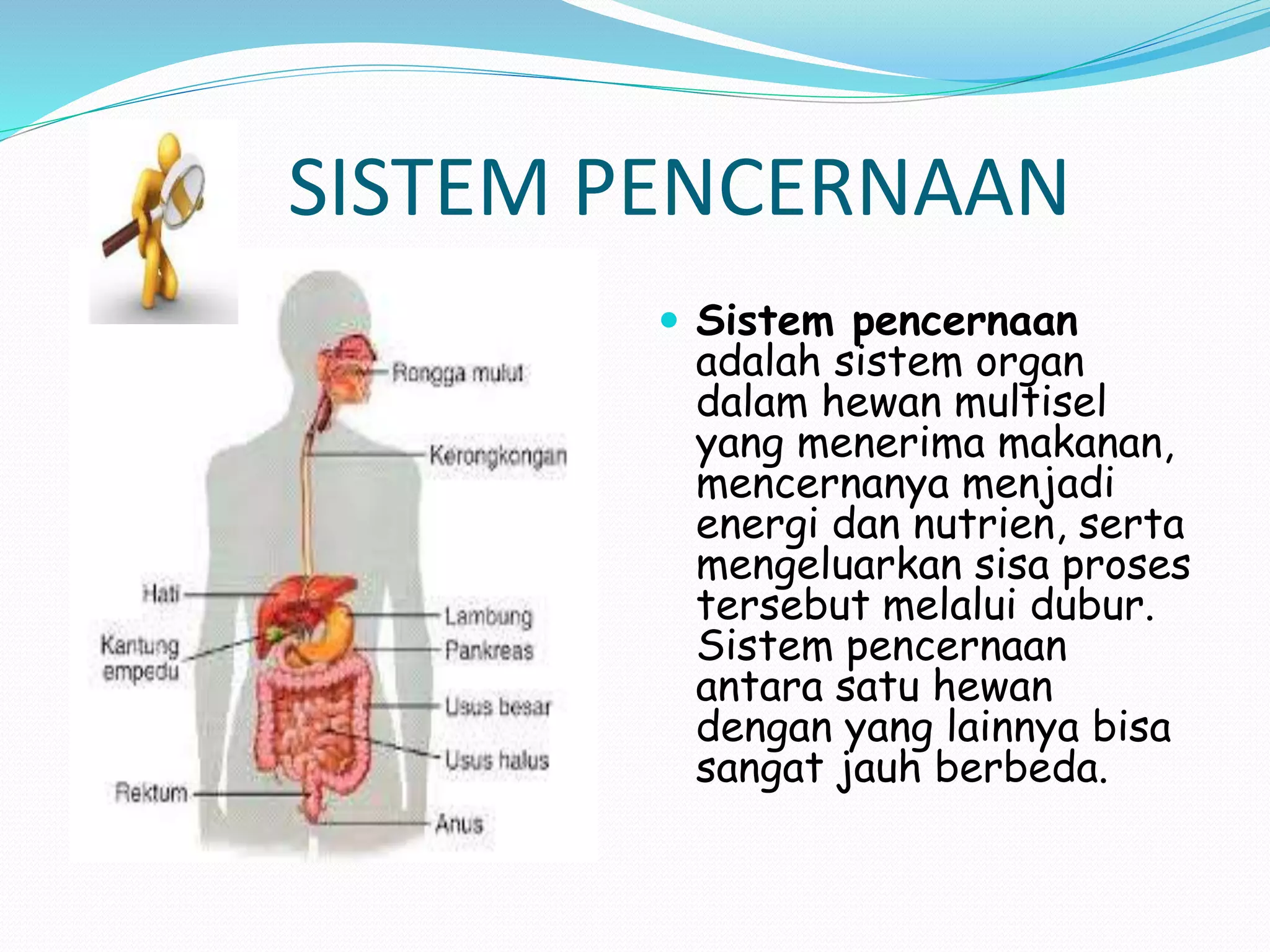 enzim pencernaan | PPTX
