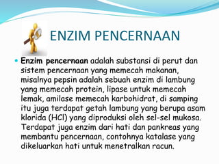 enzim pencernaan | PPTX