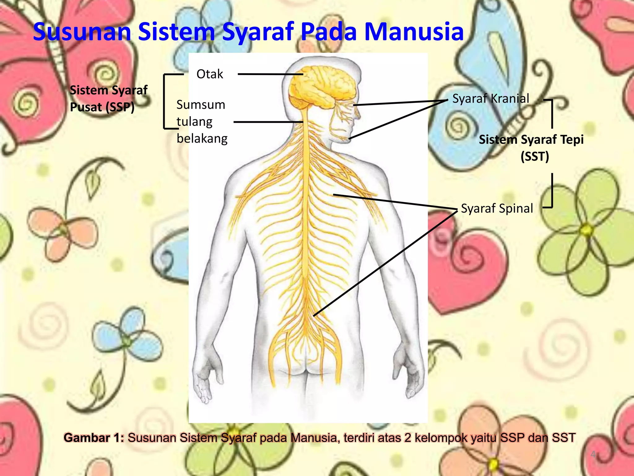 Sistem Indra Manusia | PPTX