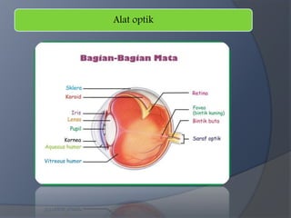 alat optik | PPTX