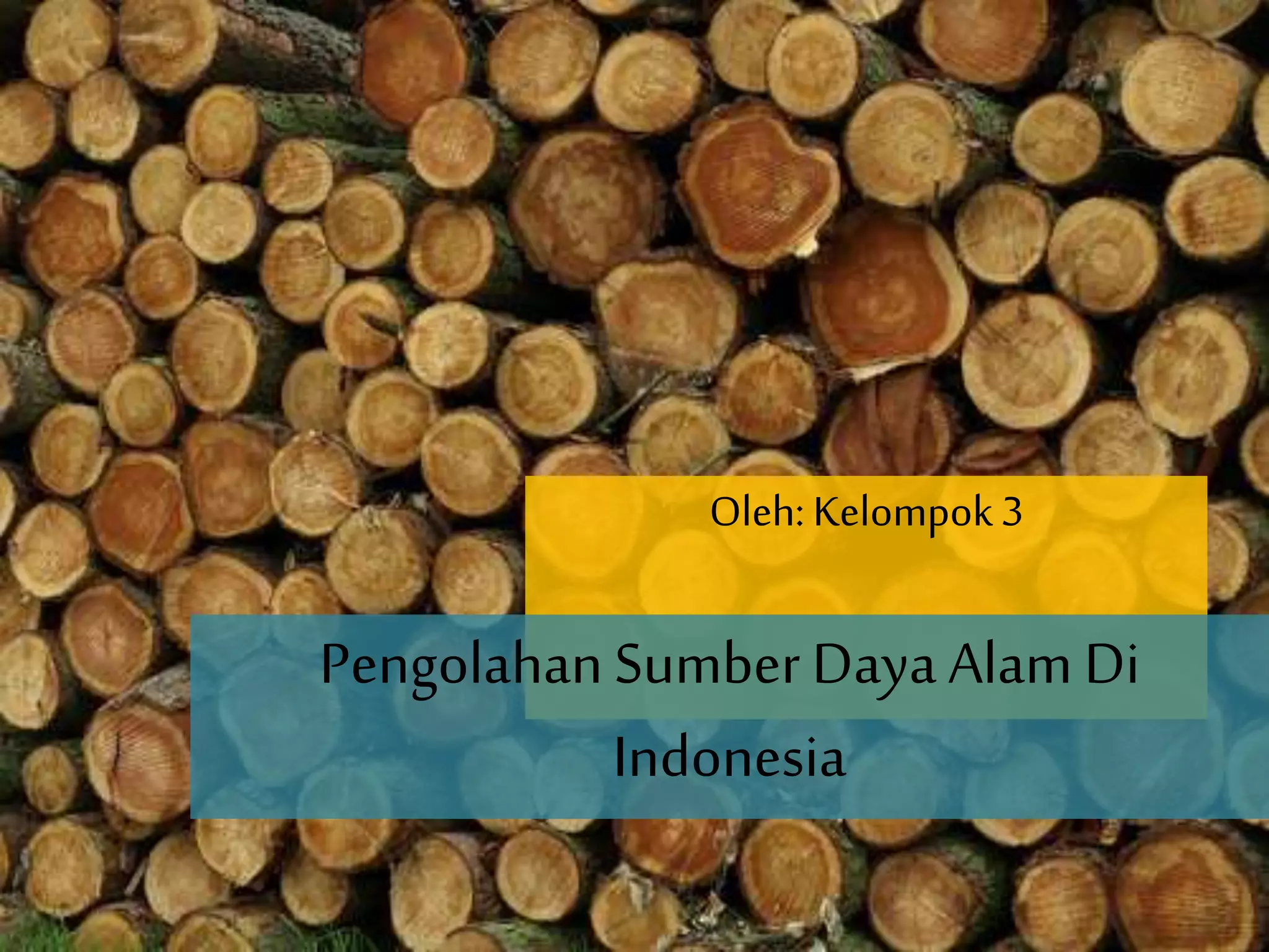 Sumber Daya Alam di Indonesia | PPTX