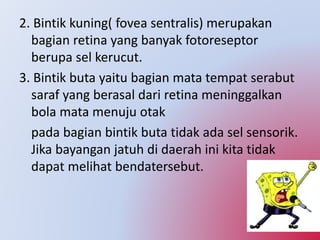 Alat indra (mata) | PPT