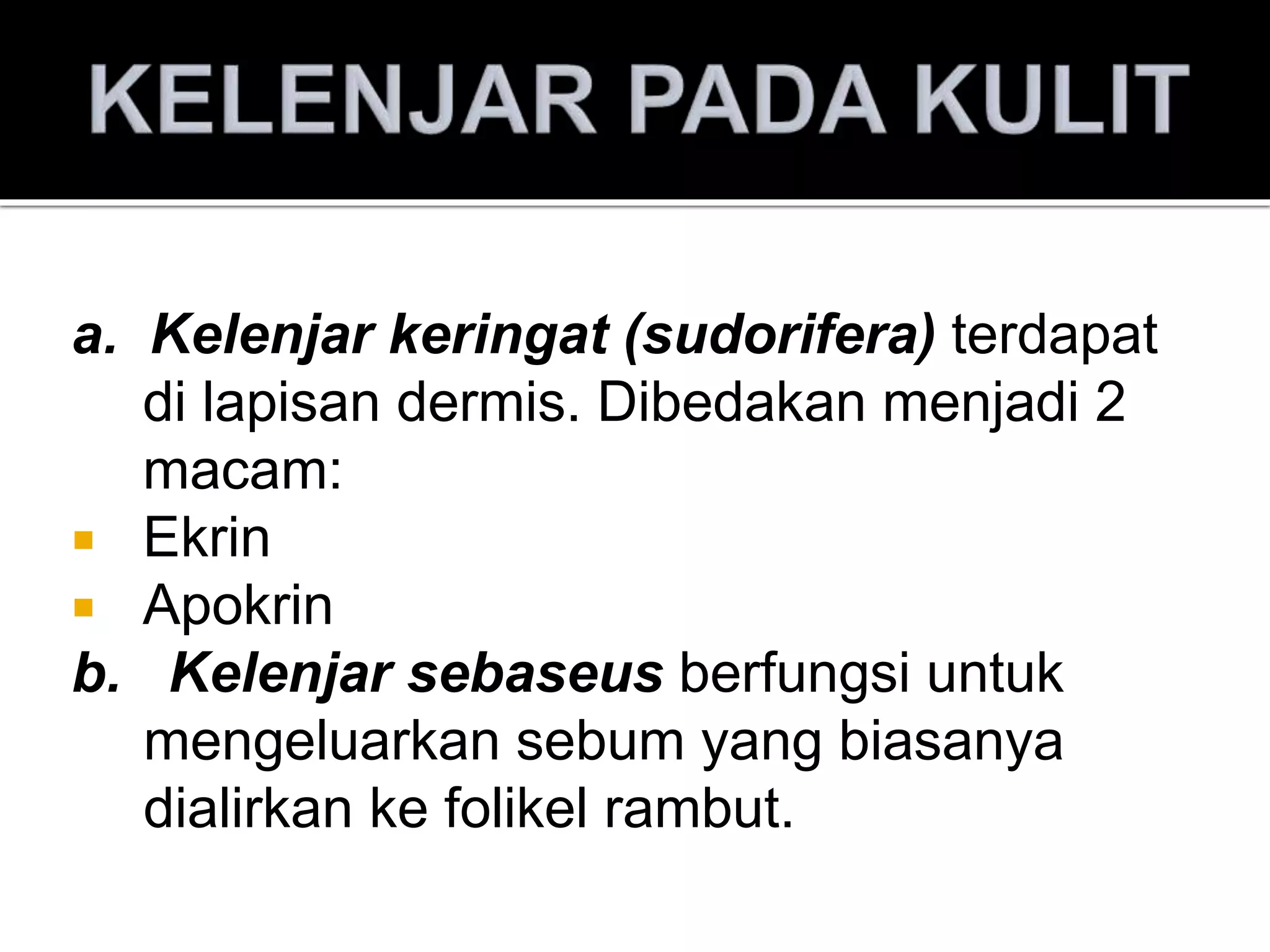 Sistem Ekresi Pada Manusia dan hewan | PPTX