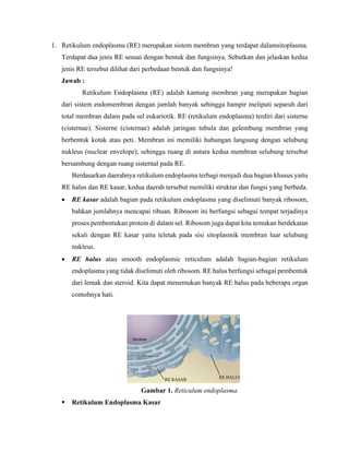 Kelompok 3_B_RE&RIBOSOM_Biologi Sel.pdf