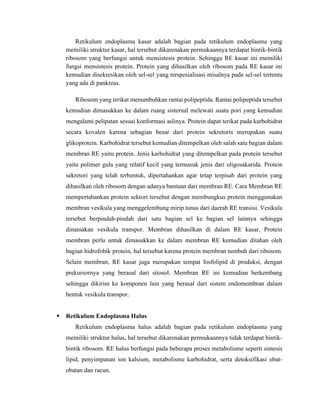Kelompok 3_B_RE&RIBOSOM_Biologi Sel.pdf