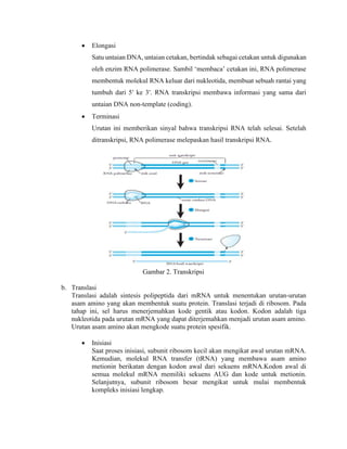 Kelompok 3_B_RE&RIBOSOM_Biologi Sel.pdf