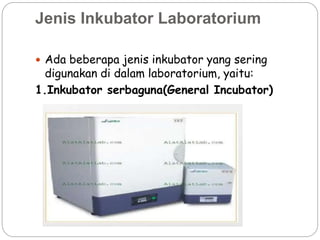 Kelompok_3_INKUBATOR.pptx