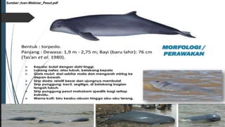 Kelompok 3_Konservasi Sumber Daya Pesisir Dan Laut.pptx