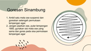 kelompok 3_nutrisi kultivasi.pptx