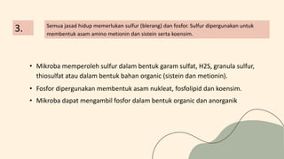 kelompok 3_nutrisi kultivasi.pptx