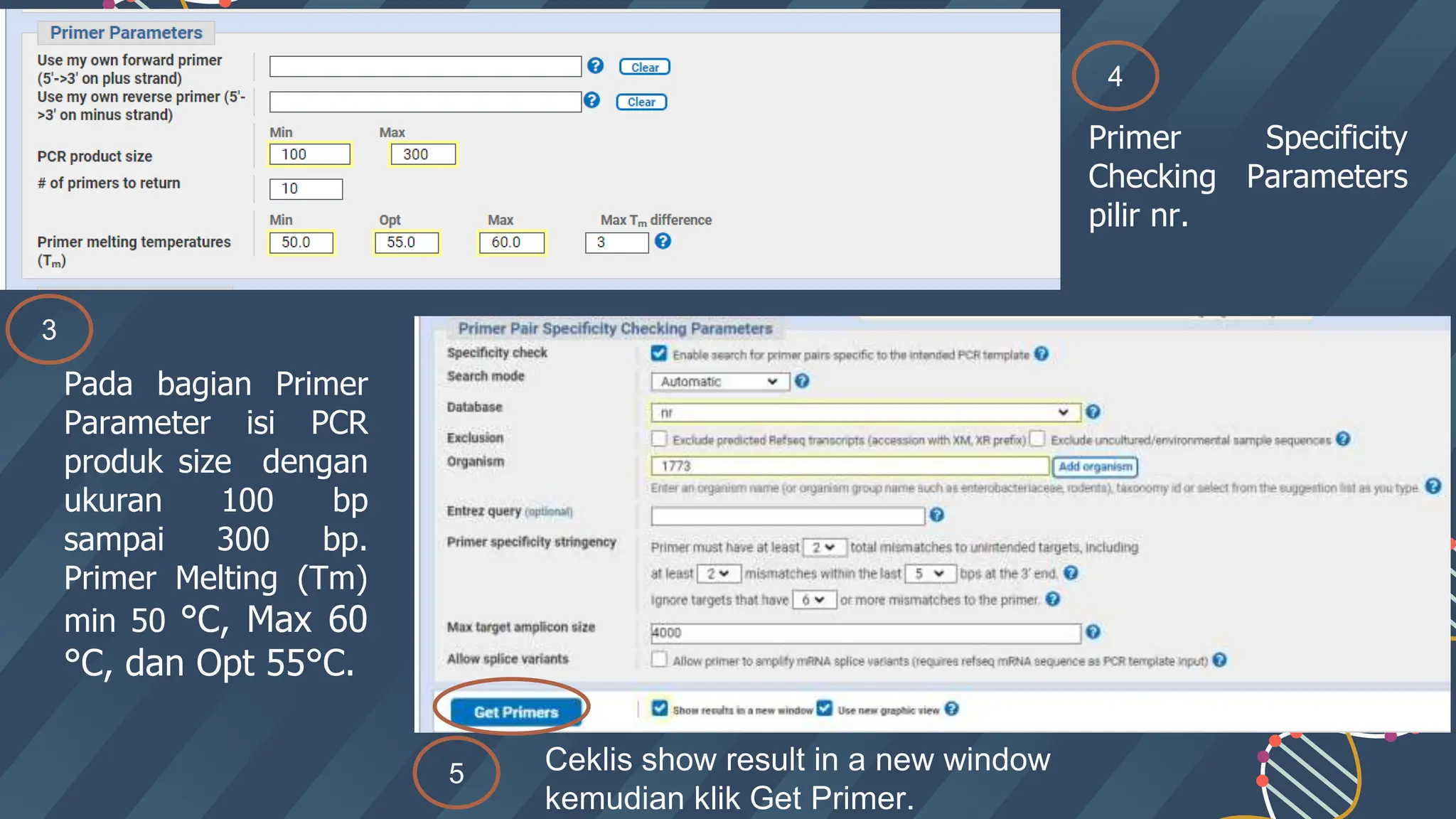 KELOMPOK 3 PRIMER.pptx
